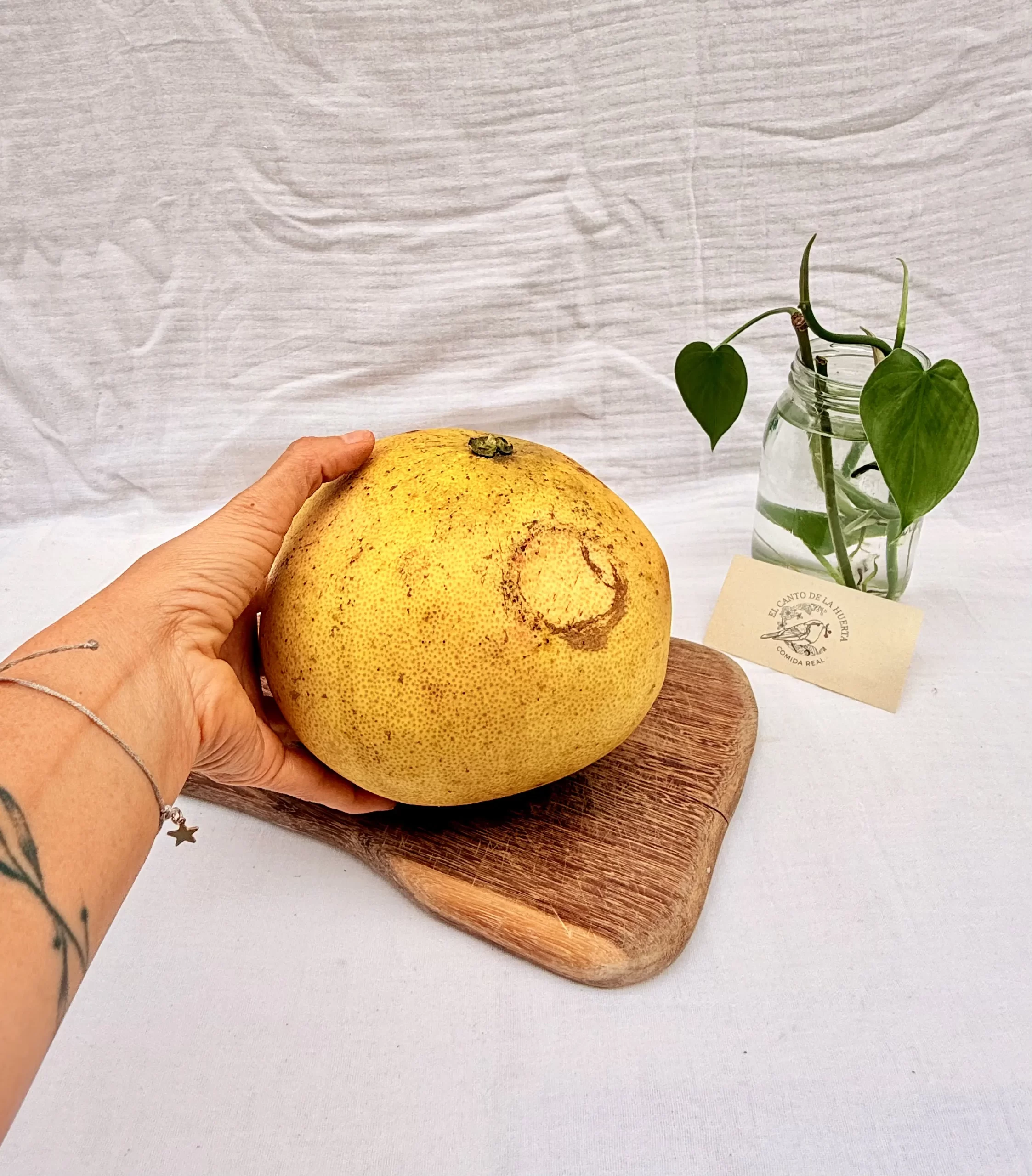 Toronja Pequeña ud ( Aprox 1000 g a 1300g) – El Canto de la Huerta
